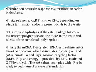 termination of translation - protein synthesis | PPTX | Chemistry | Science