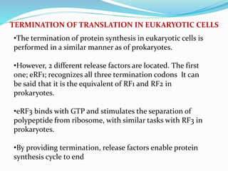 termination of translation - protein synthesis | PPTX