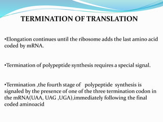 termination of translation - protein synthesis | PPTX