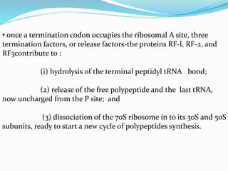 termination of translation - protein synthesis | PPTX