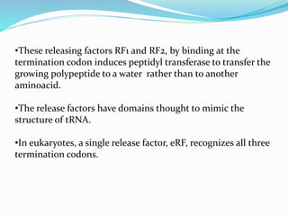 termination of translation - protein synthesis | PPTX