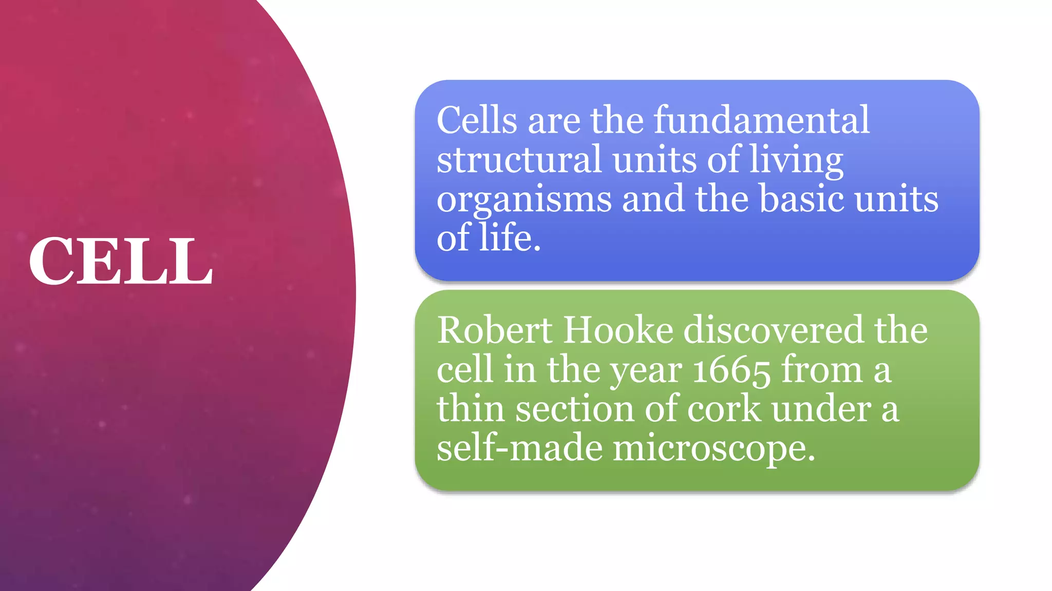 Cell stucture and function class 8 | PPTX