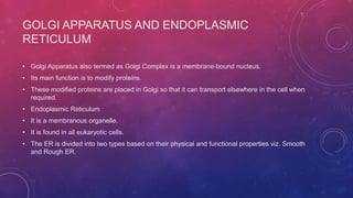 Cell stucture and function class 8 | PPTX