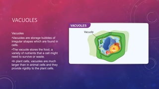 Cell stucture and function class 8 | PPTX