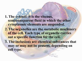Cell Structure | PPTX