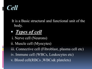 Cell | PPTX