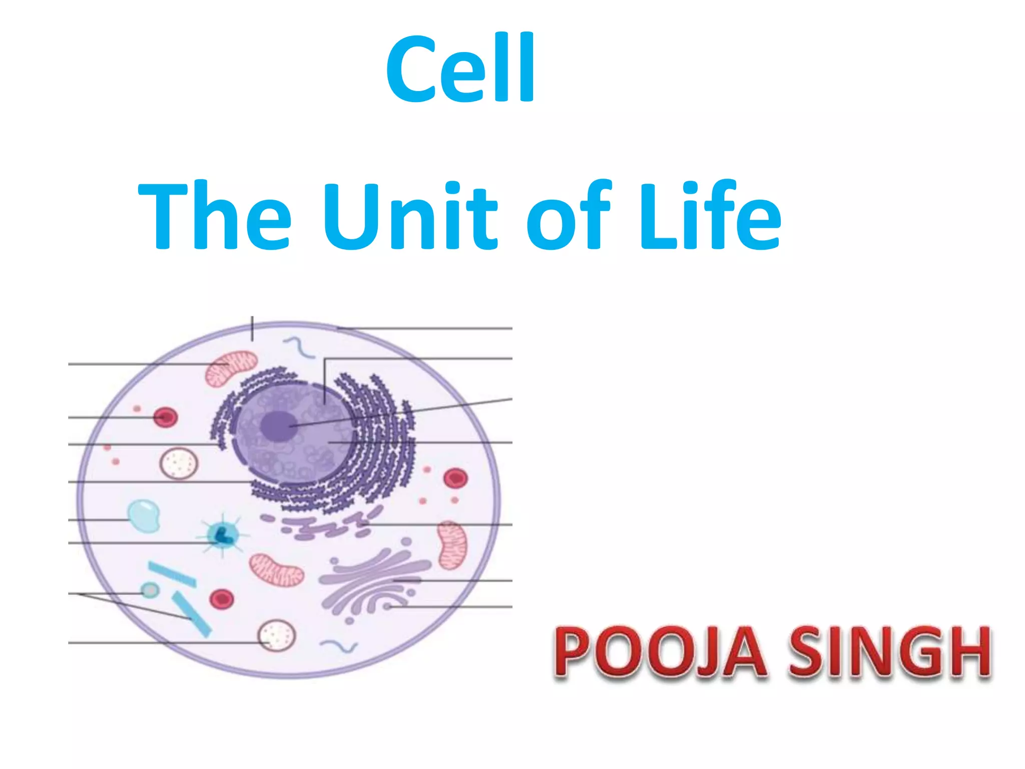 Cell, the unit of life | PPTX