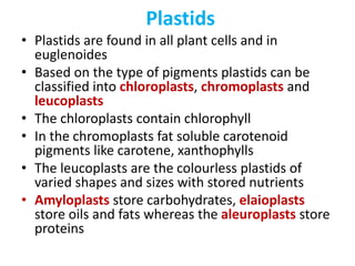 Cell, the unit of life | PPTX