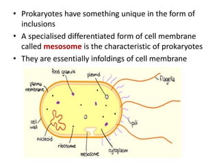 Cell, the unit of life | PPTX
