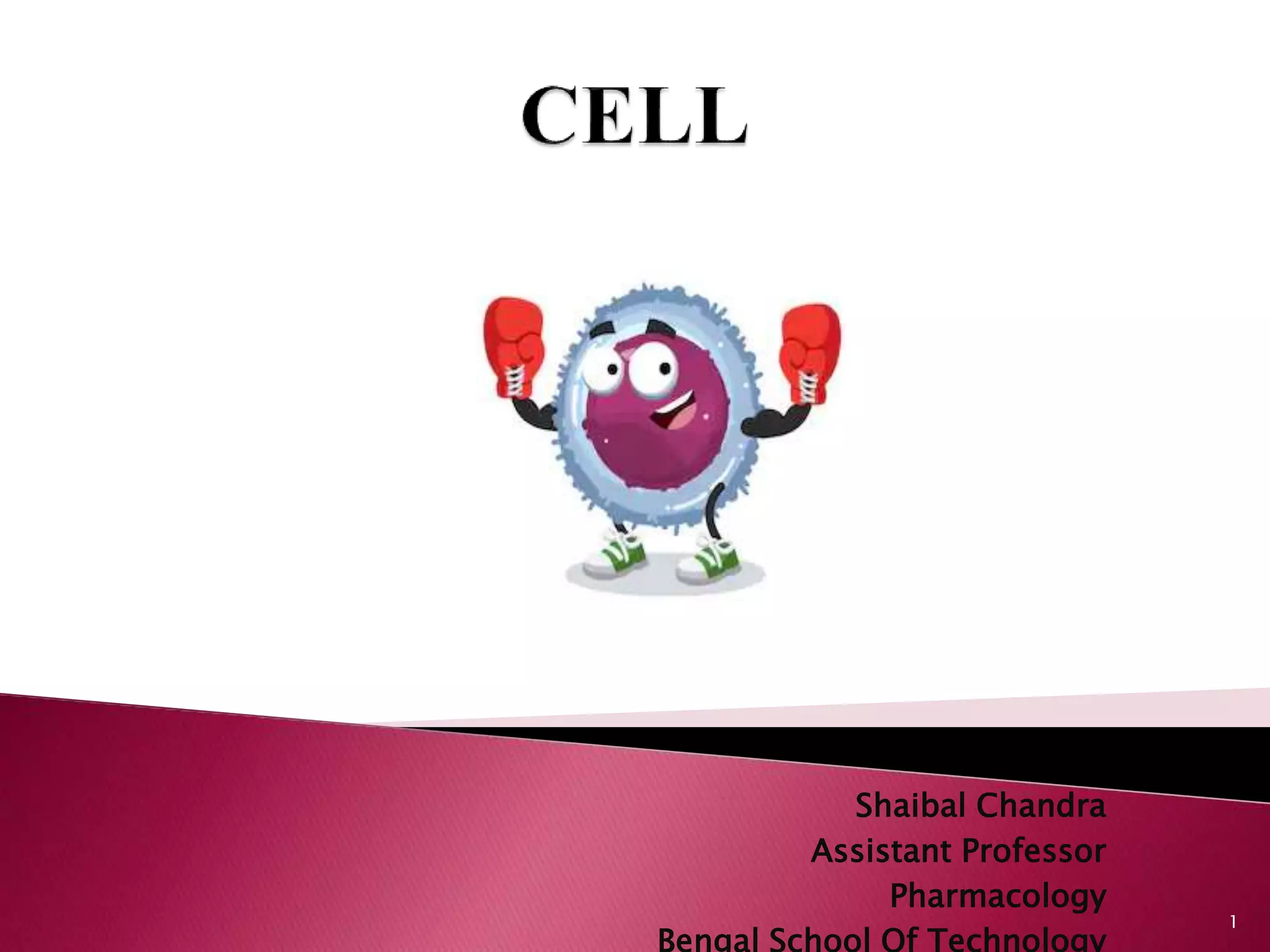 Cell (Basic) | PPT