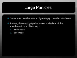 The Cell Membrane | PPTX