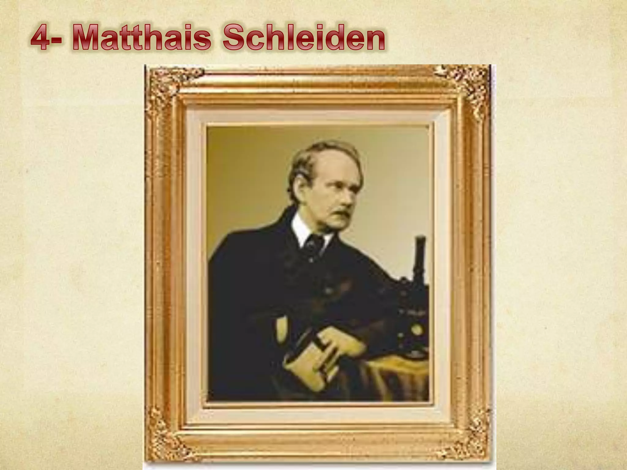 Cell structure and cell theory | PPTX