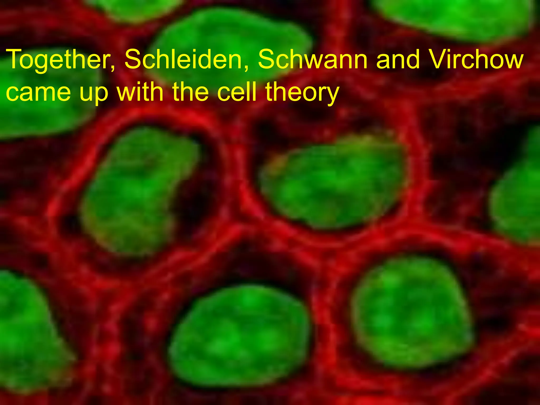 Cell structure and cell theory | PPTX