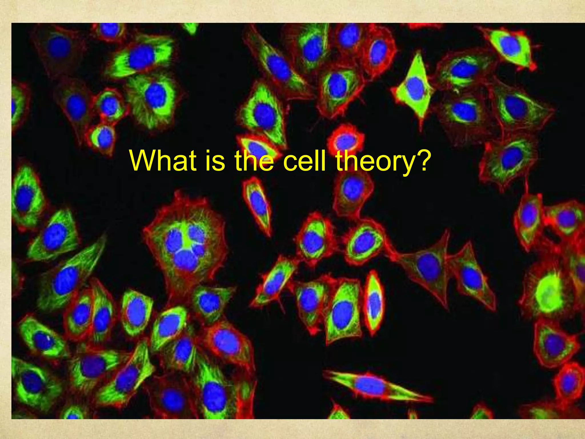 Cell structure and cell theory | PPTX
