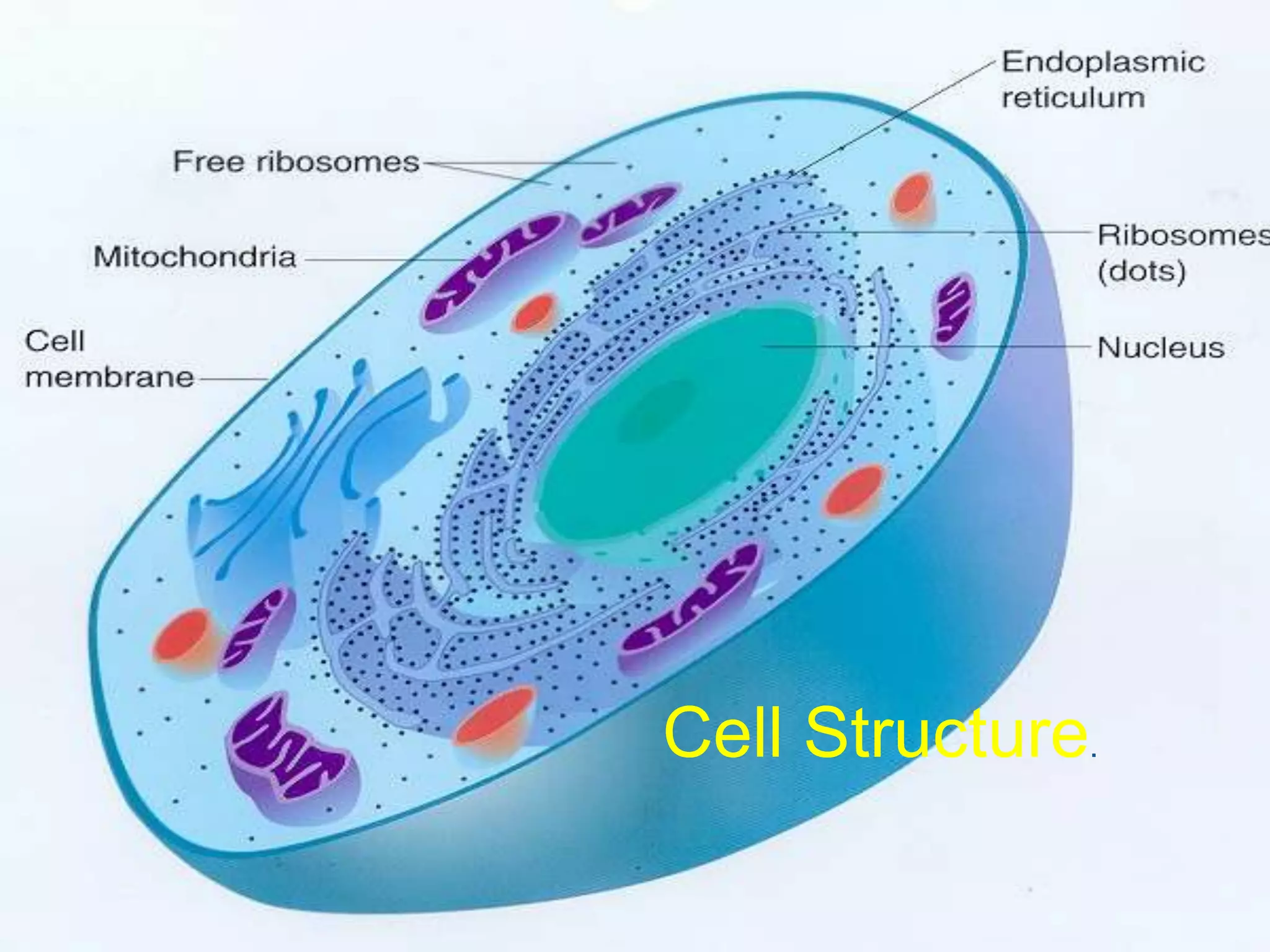 Cell structure and cell theory | PPTX