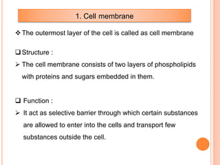 Cell | PPTX