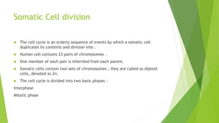 Cell | PPTX