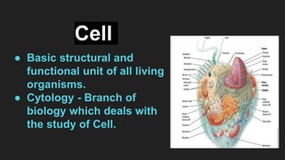 Cell | PPT