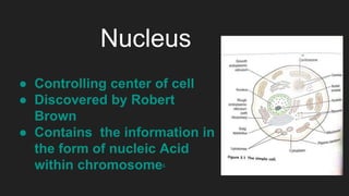 Cell | PPT