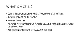 Cell-THE UNIT OF LIFE | PPTX | Biological Sciences | Science