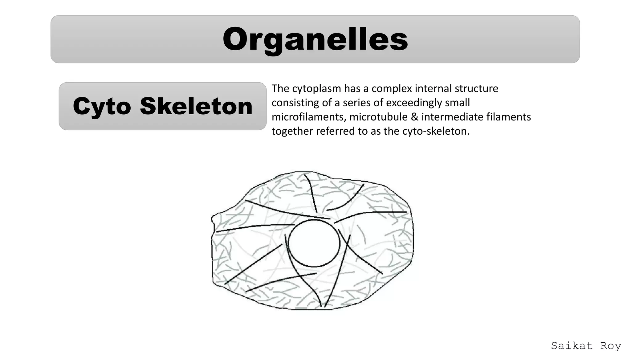 Cell - Basic Structure, Organelles and Overview | PPT