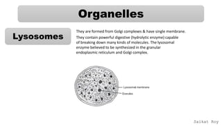 Cell - Basic Structure, Organelles and Overview | PPT