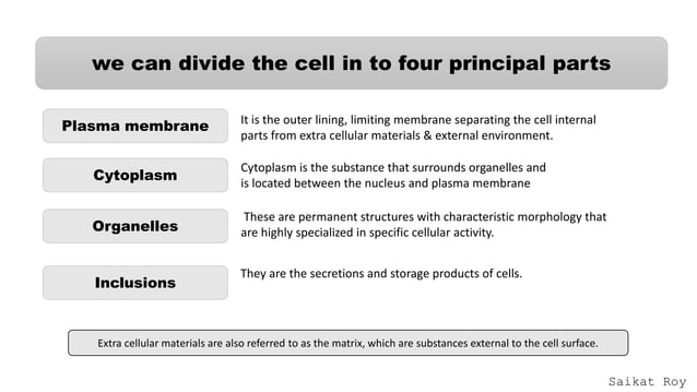 Cell - Basic Structure, Organelles and Overview | PPT