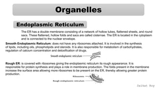 Cell - Basic Structure, Organelles and Overview | PPT