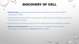 cell presentation | PPTX