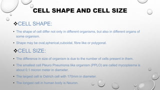cell presentation | PPTX