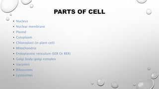 cell presentation | PPTX