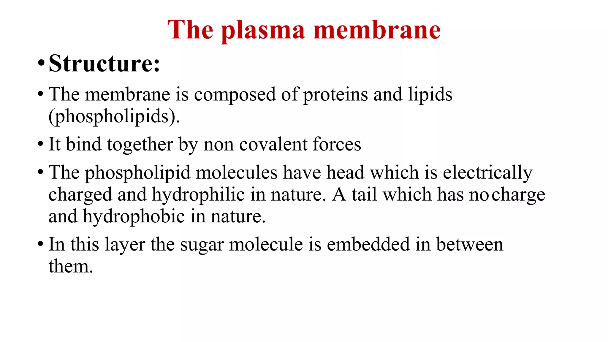 CELL AND ITS INCLUSIONS FUNCTIONS | PDF