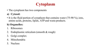 CELL AND ITS INCLUSIONS FUNCTIONS | PDF
