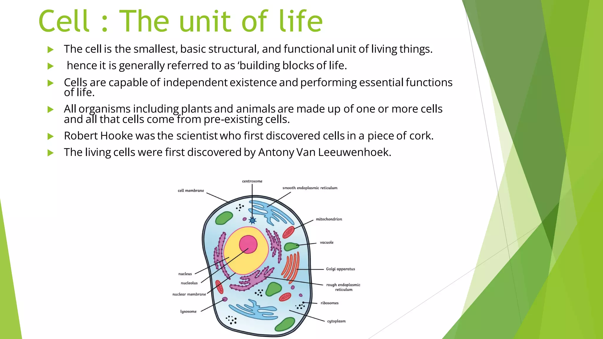 cell.pdf