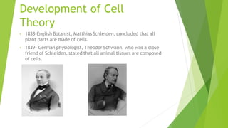 cell.pdf