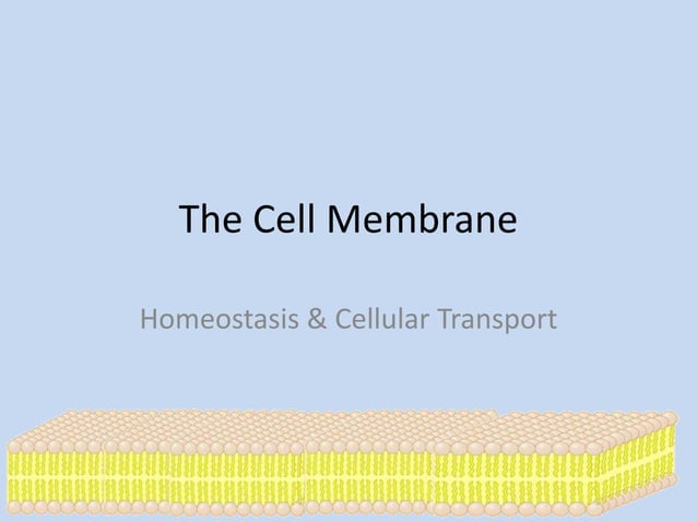cell.transport..pptx