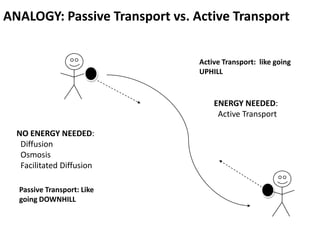cell.transport..pptx