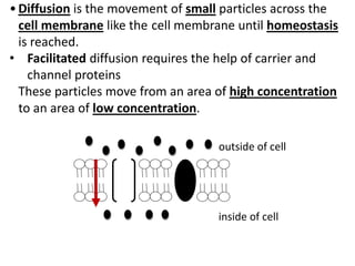 cell.transport..pptx