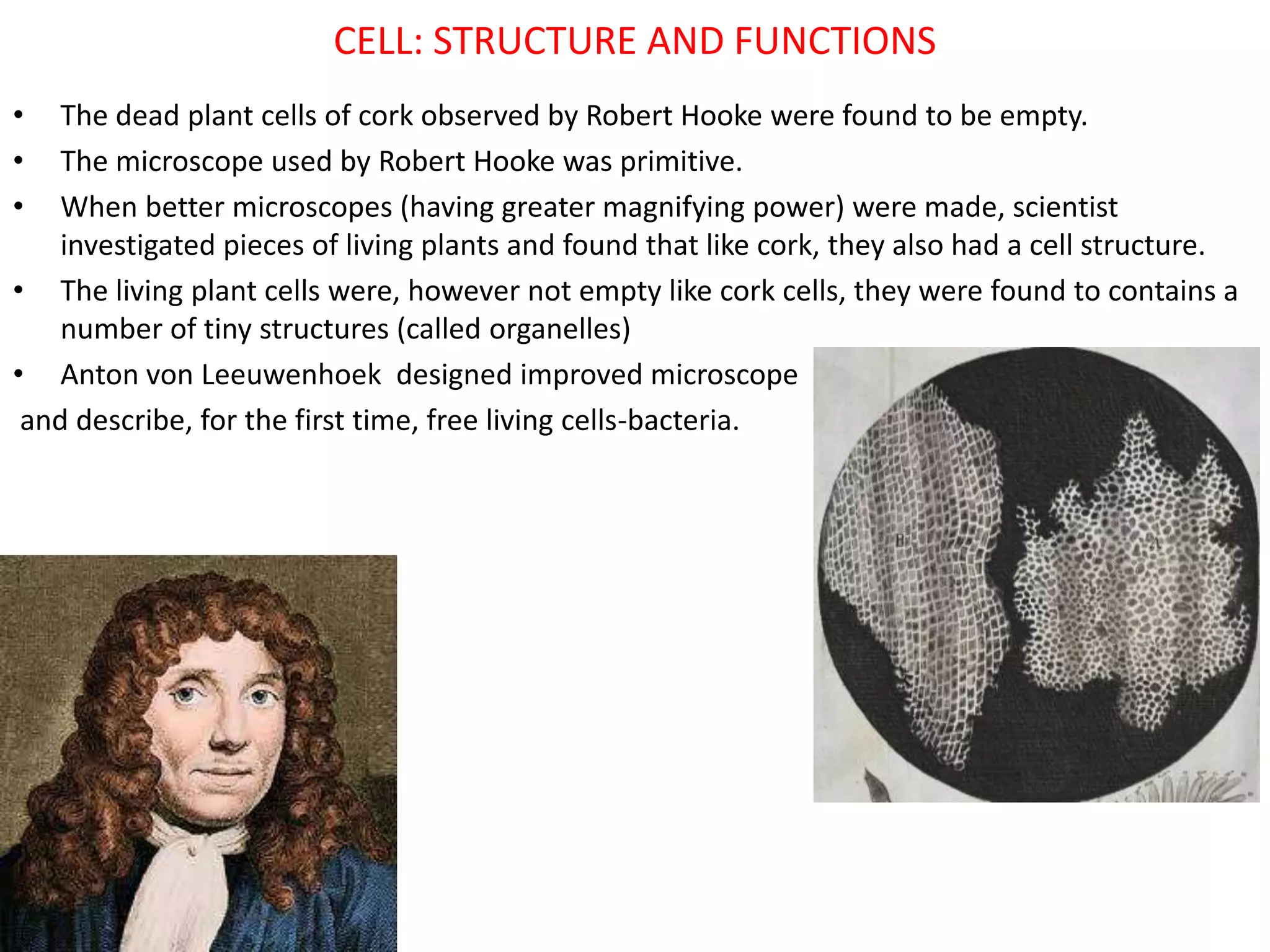 Cell structure and functions | PPTX