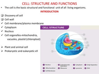 Cell structure and functions | PPTX