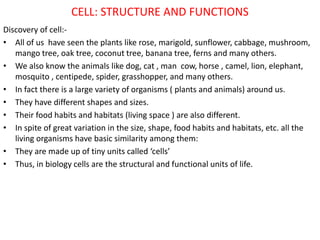 Cell structure and functions | PPTX