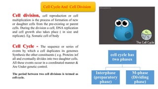 Cell.pdf