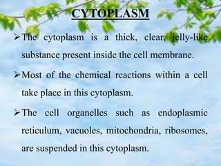 cell.pptx