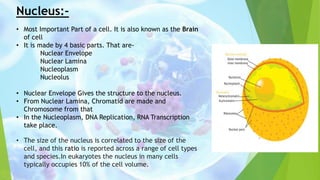 CELL.pdf