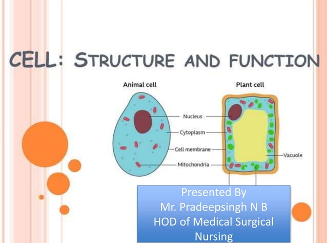 cell.pptx