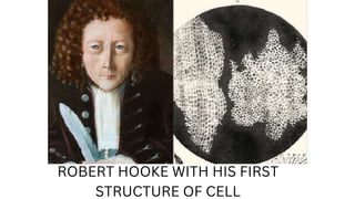 CELL-BASIC PRESENTATION | PPT