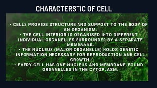 CELL-BASIC PRESENTATION | PPT