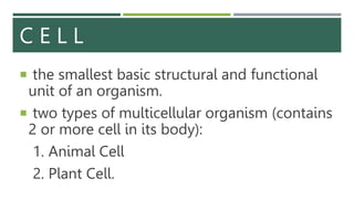 Animal and Plant Cell Parts and Function.pptx | Biological Sciences ...