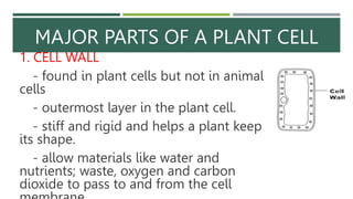 Animal and Plant Cell Parts and Function.pptx