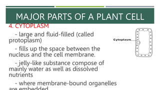 Animal and Plant Cell Parts and Function.pptx | Biological Sciences ...